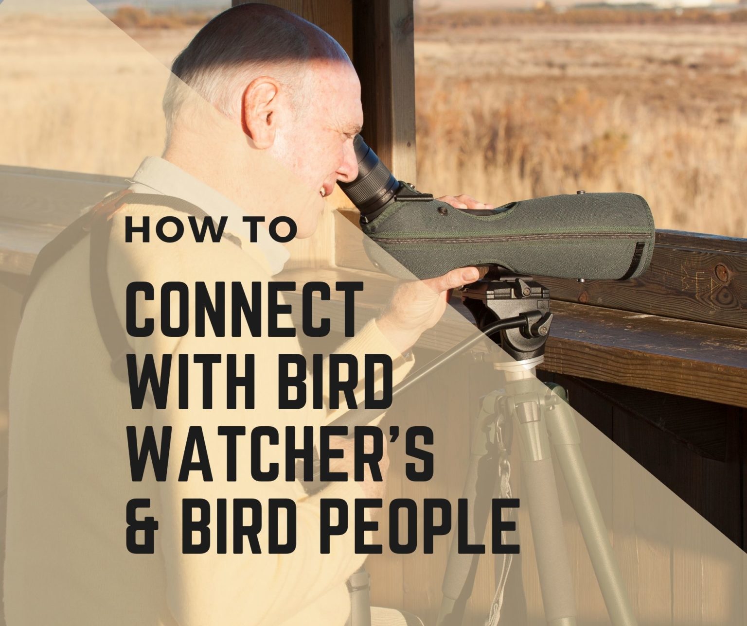 5 Best Ways to Connect with Bird People - Birds News