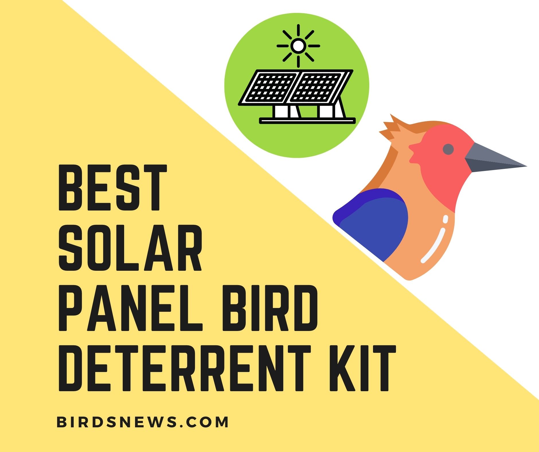 Best Solar Panel Bird Deterrent Kit In 2022 - Birds News