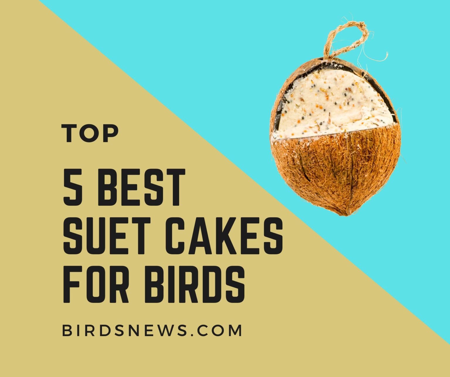 8 Best Suet Cakes For Birds In 2025 - Birds News