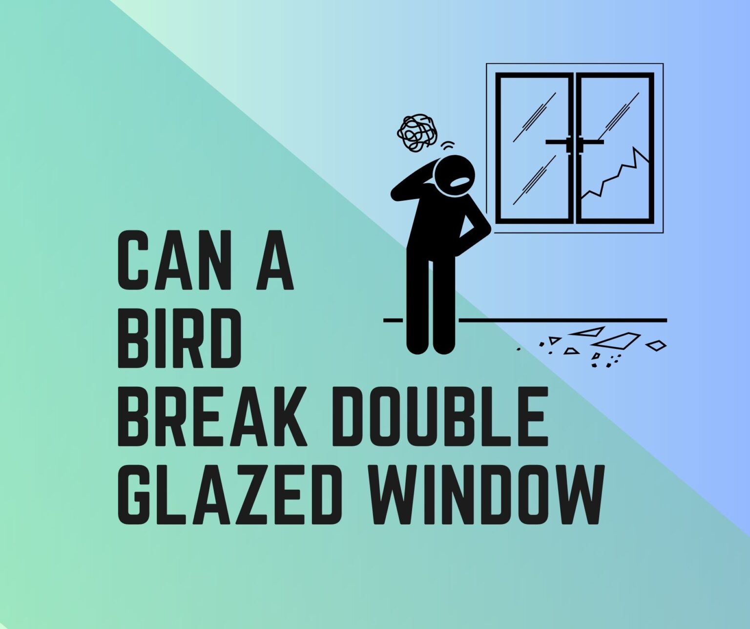 Birds News - A Guide to Pet Birds