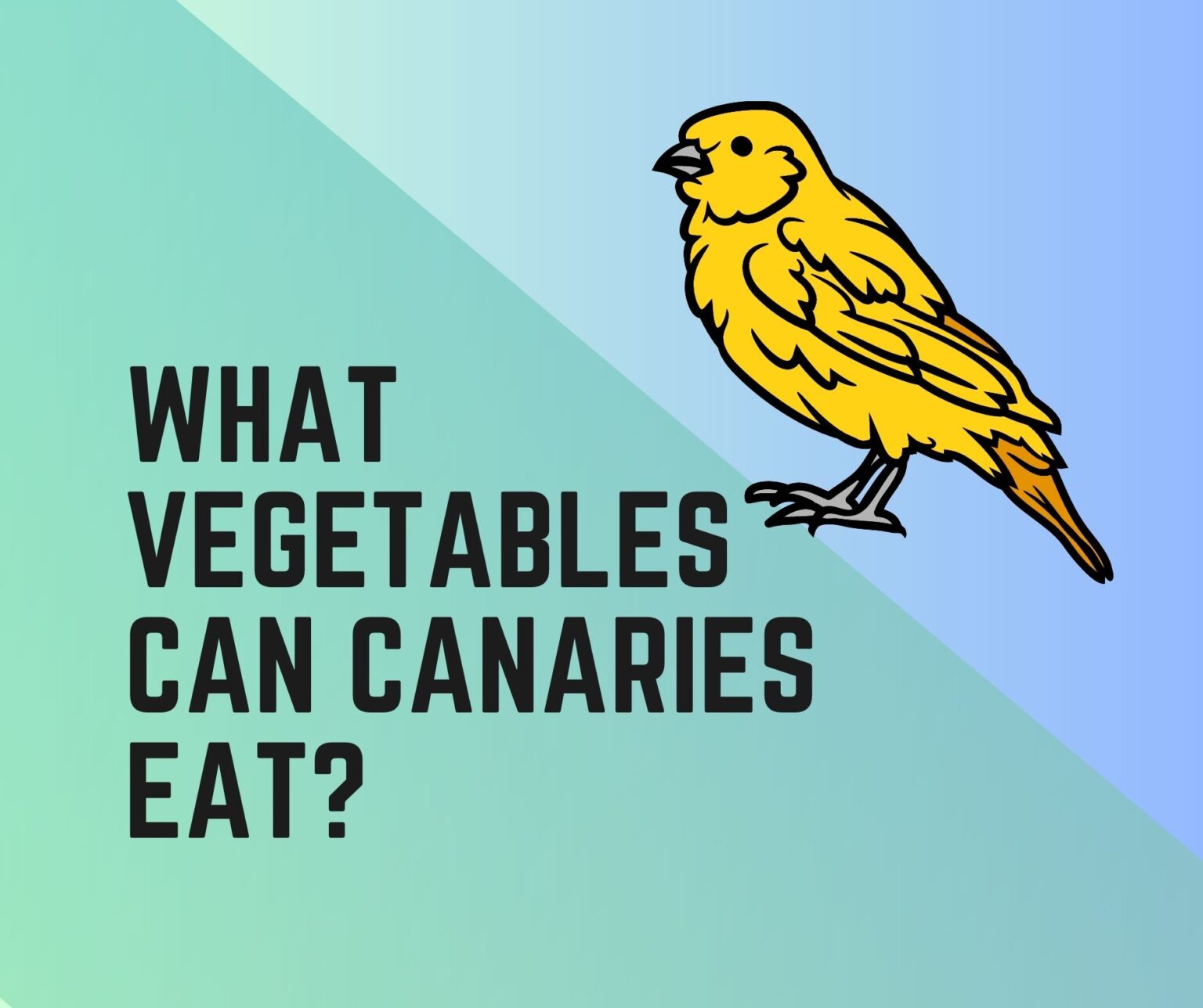What Vegetables Can Canaries Eat? 17 Safe Veggies - Birds News